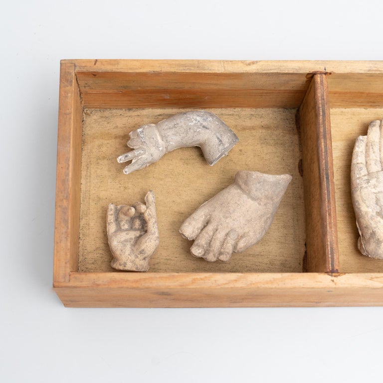 Cabinet of Curiosities Drawer Sculptural Artwork, circa 1950 For Sale ...