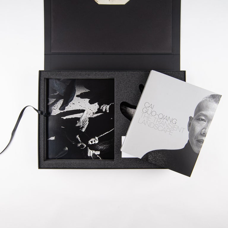 Cai Guo-Qiang - Murmuration Box For Sale at 1stDibs