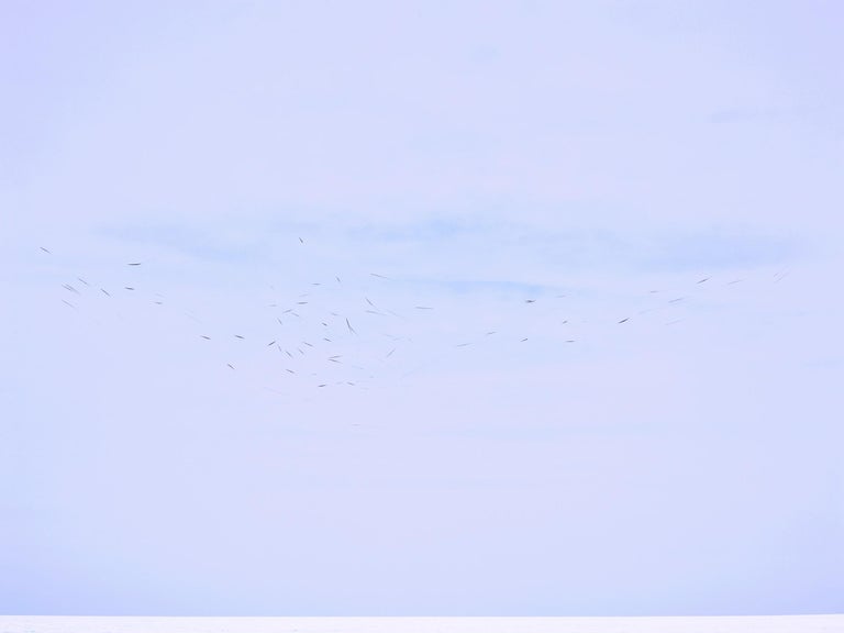 Caleb Cain Marcus - A brief movement after death 8 For Sale at 1stDibs