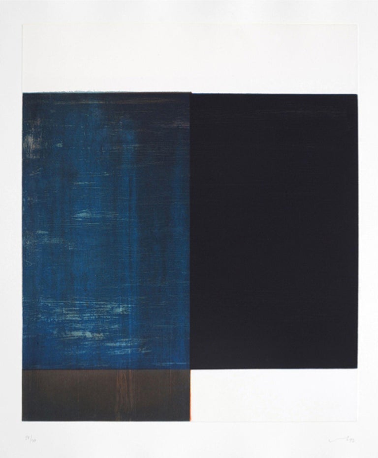 Callum Innes - LBT For Sale at 1stDibs
