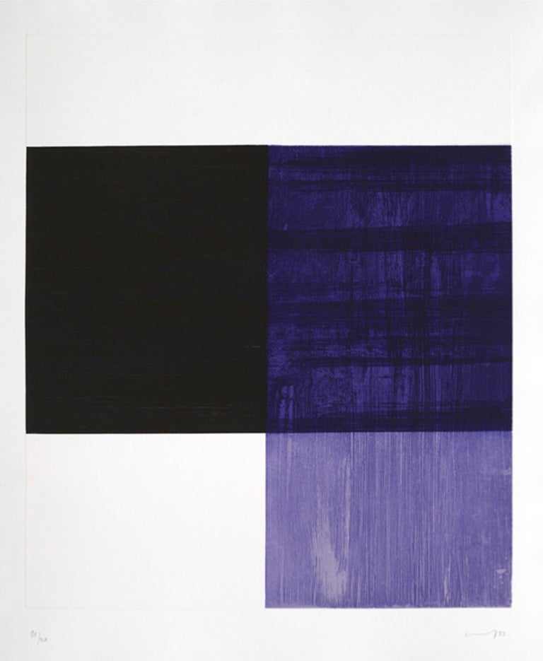Callum Innes - LBV For Sale at 1stDibs