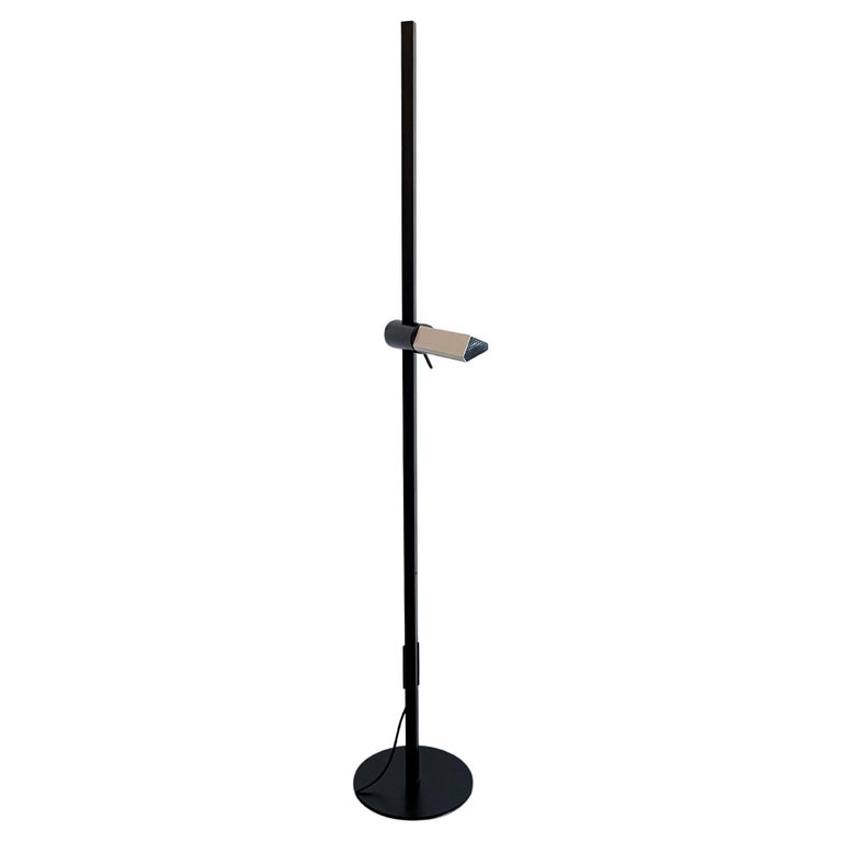 Caltha Adjustable Halogen Floor Lamp, Gian Franco Frattini for Luci ...