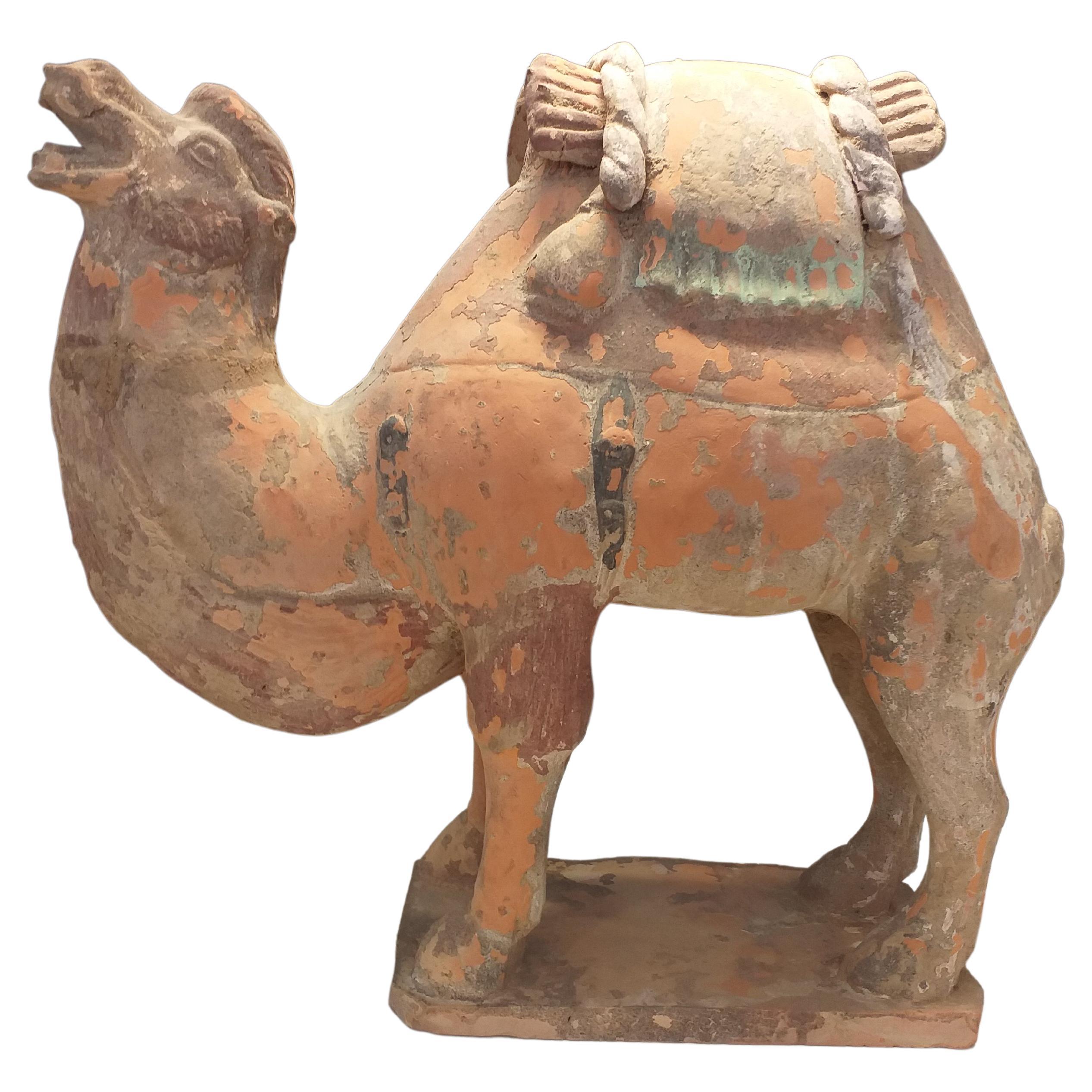 Tang Dynasty Camel For Sale at 1stDibs