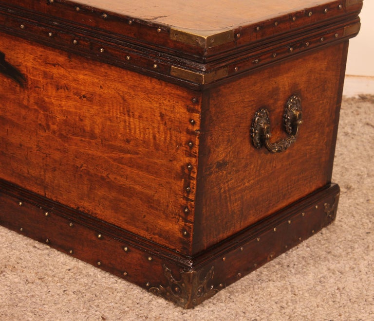 Campaign / Marine Chest from the Port of Hull from the 19th Century For ...