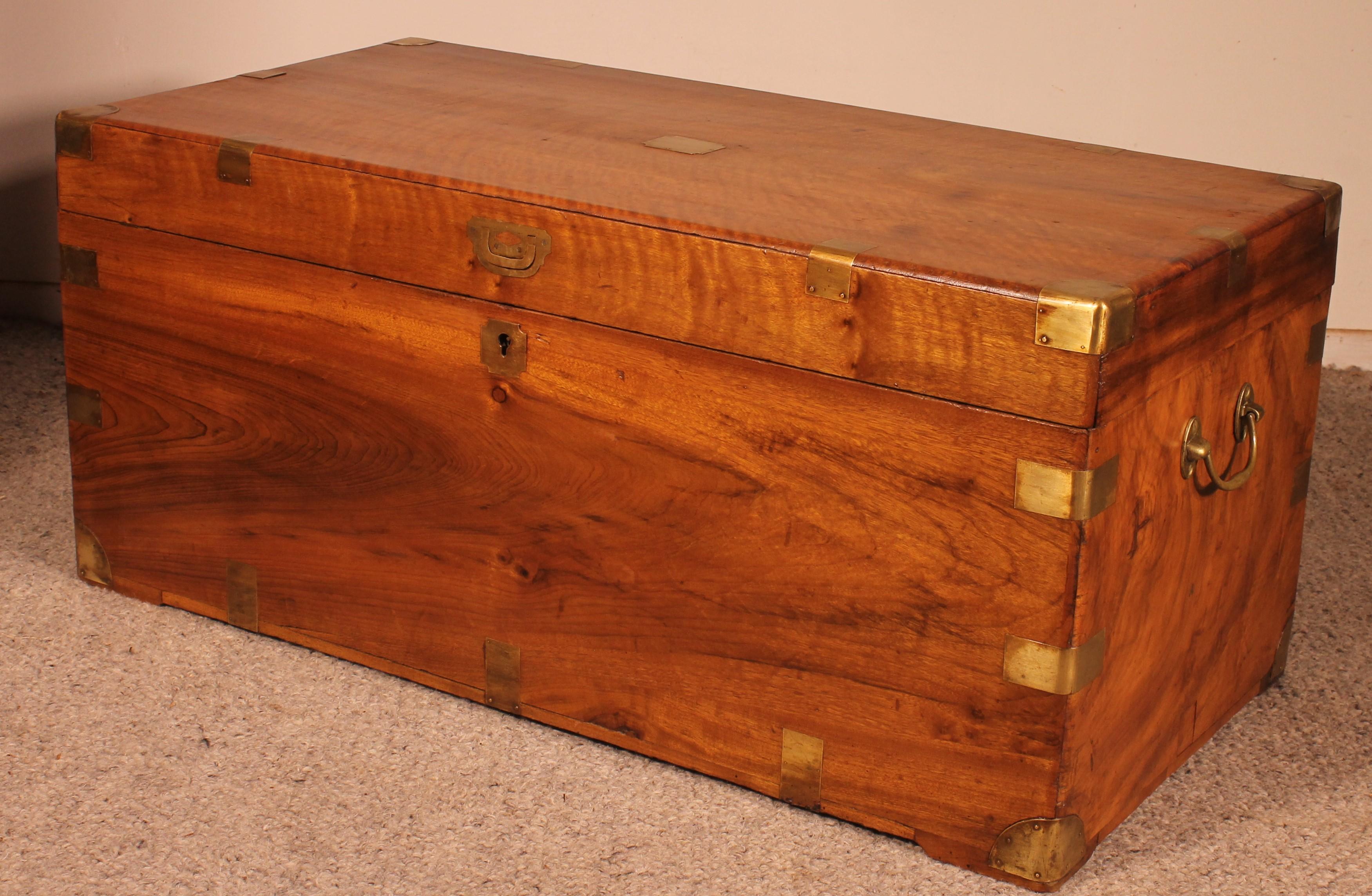 Campaign / Marine Chest in Camphor Wood from the 19th Century For Sale ...