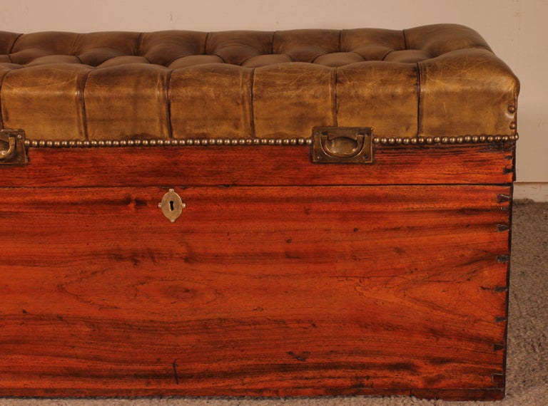 Campaign or Marine Bench in Camphor Wood with Chesterfield Leather Seat ...