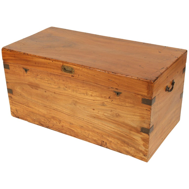 Campaign Style Camphor Wood Trunk at 1stDibs