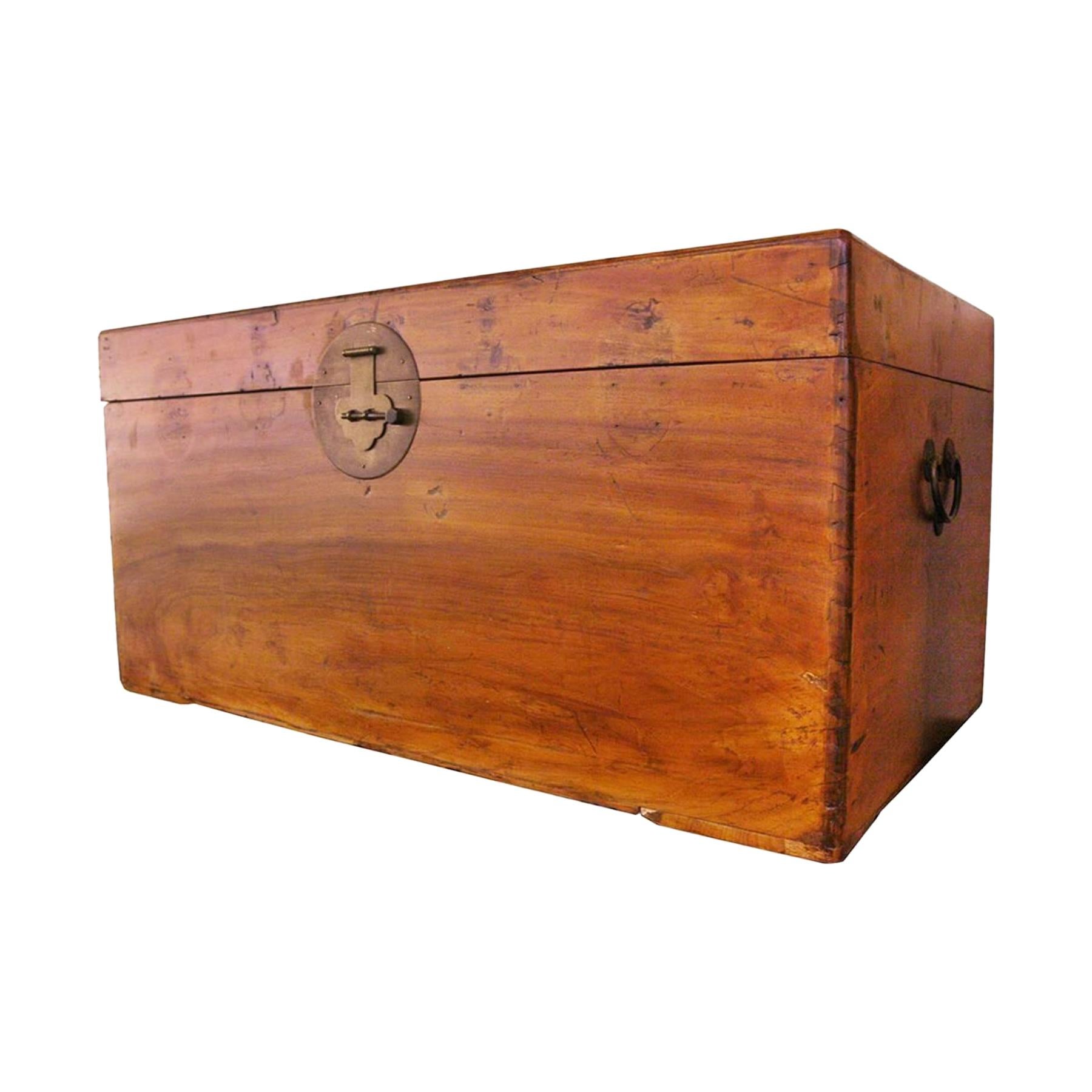 Camphor Trunk at 1stDibs