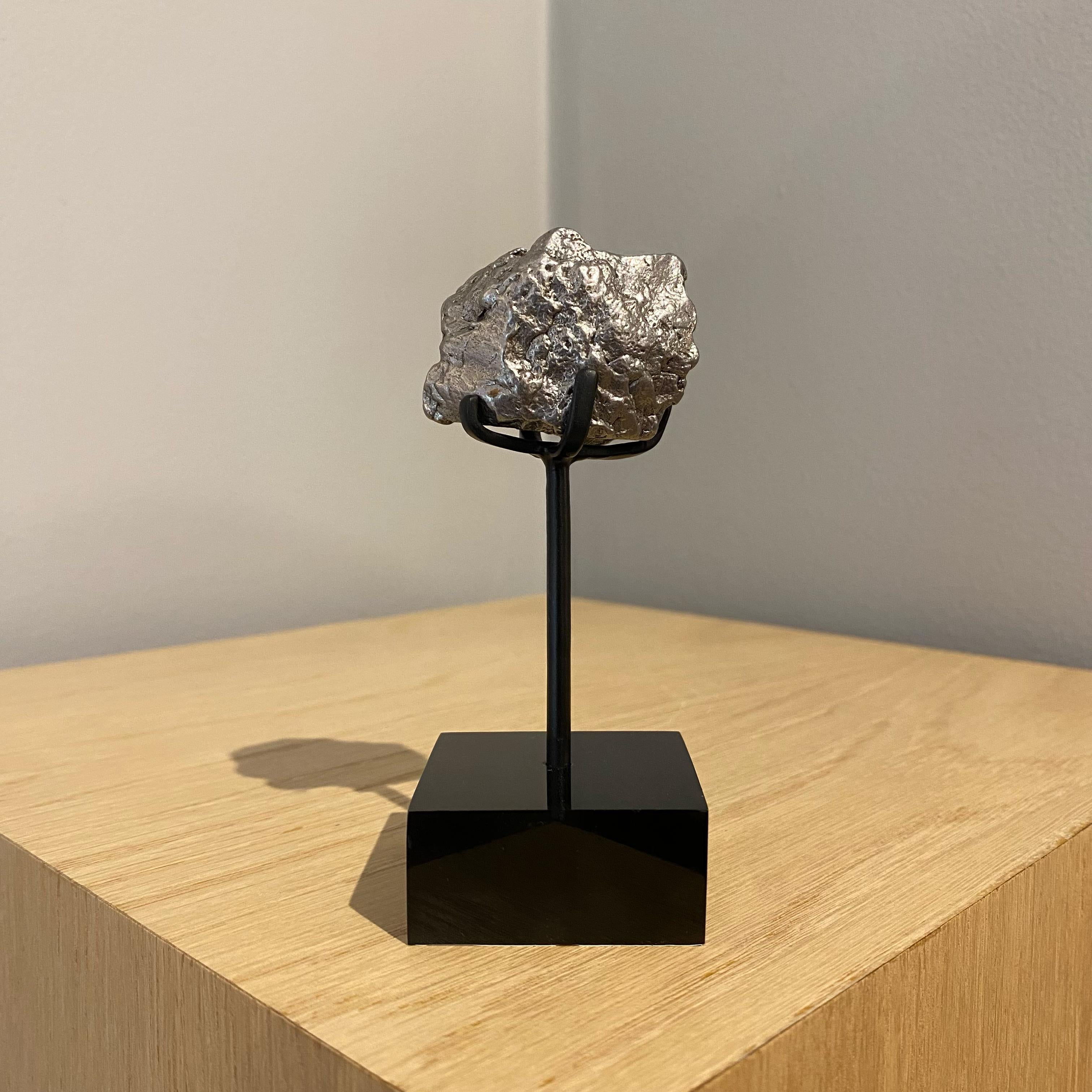Campo Meteorite For Sale at 1stDibs