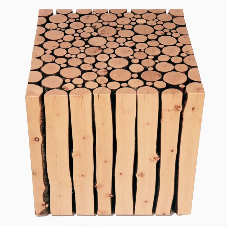 Canadian Bunched Birch Branches Cube Side Table For Sale at 1stDibs