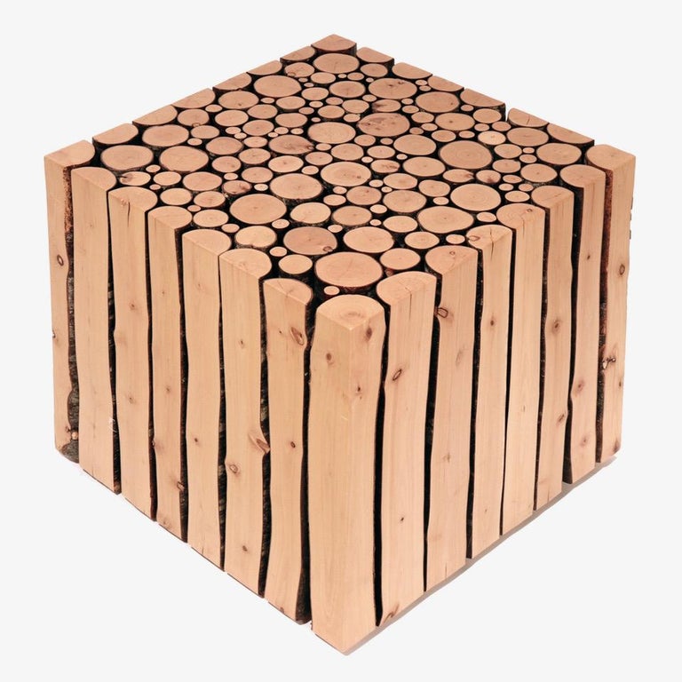 Canadian Bunched Birch Branches Cube Side Table For Sale at 1stDibs
