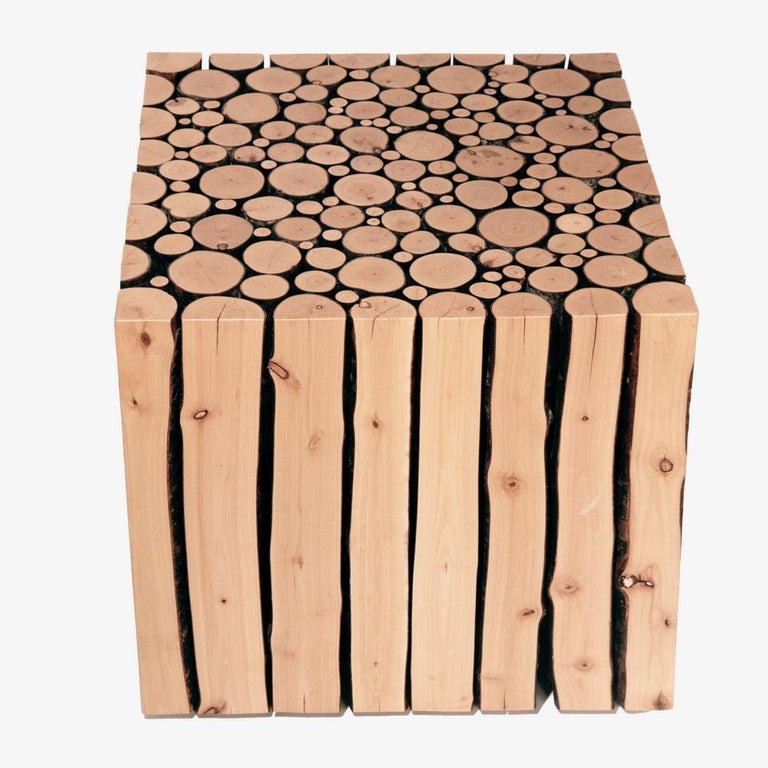 Canadian Bunched Birch Branches Cube Side Table For Sale at 1stDibs
