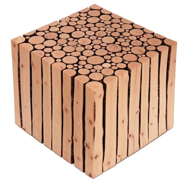 Canadian Bunched Birch Branches Cube Side Table For Sale at 1stDibs