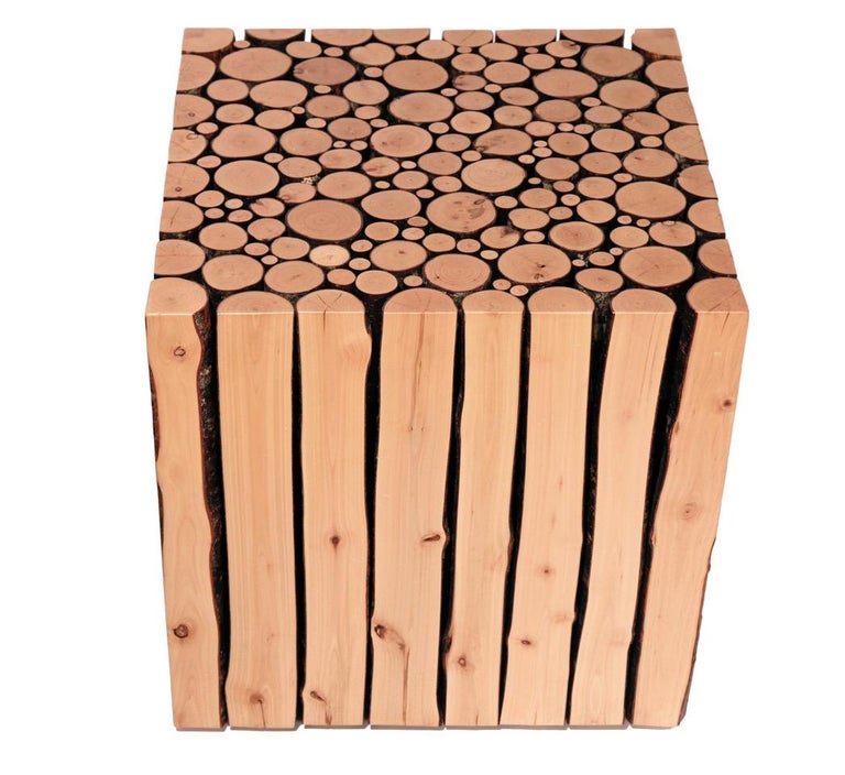 Canadian Bunched Birch Branches Cube Side Table For Sale at 1stDibs