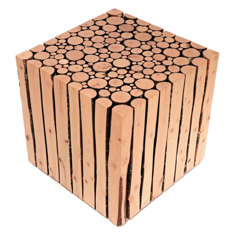 Canadian Bunched Birch Branches Cube Side Table For Sale at 1stDibs