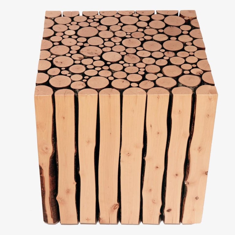 Canadian Bunched Birch Branches Cube Side Table For Sale at 1stDibs