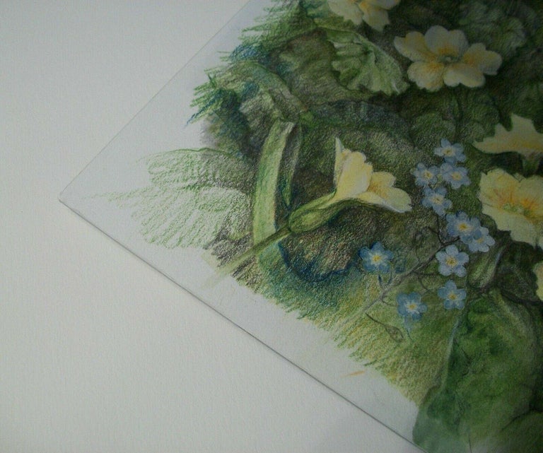 Canadian School Color Pencil, Graphite and Watercolor Drawing, Unsigned ...