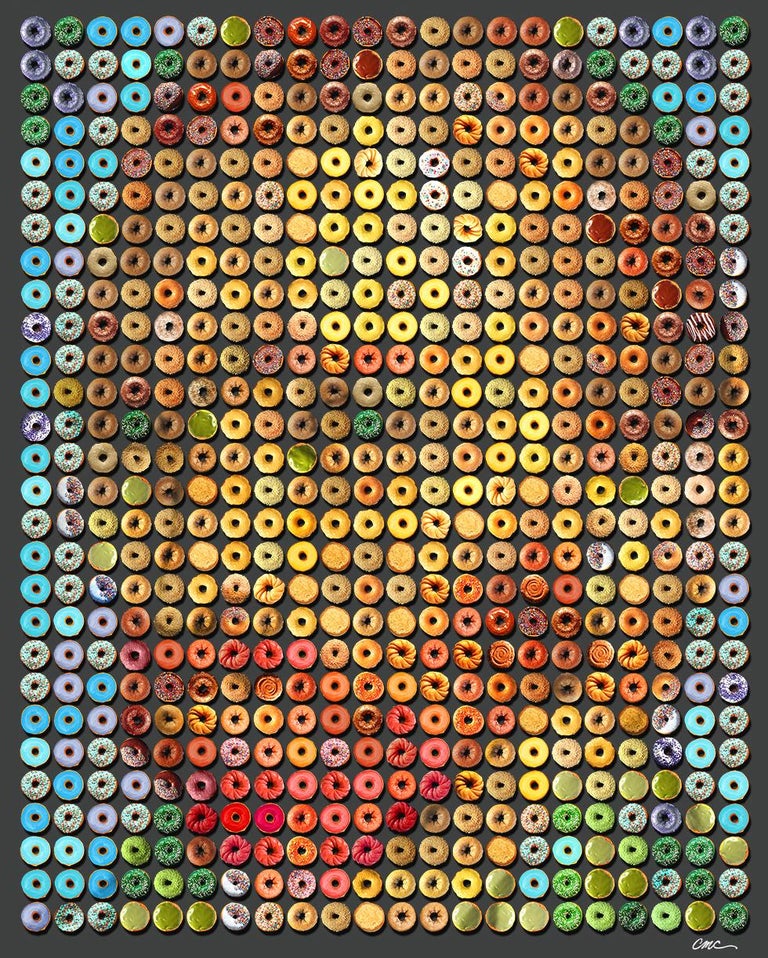 Candice CMC - "Van Gogh Donuts" 46x38" One of a kind photographic ...