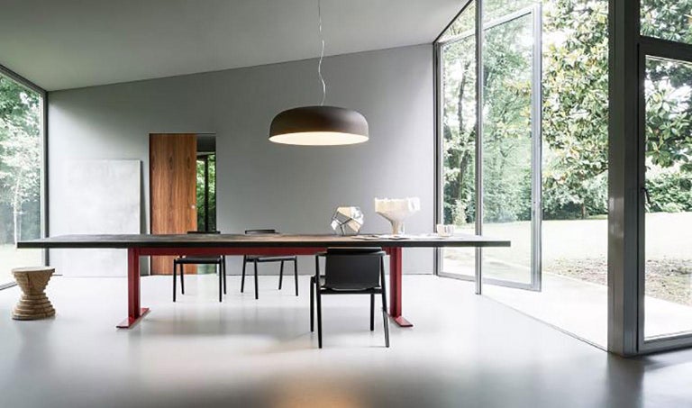 Canopy Suspension Lamp by Francesco Rota for Oluce For Sale at 1stDibs ...