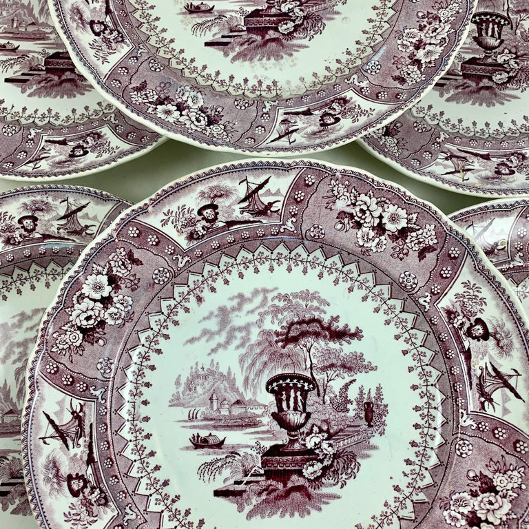 'Canova' Purple on White English Staffordshire Transferware Dinner ...