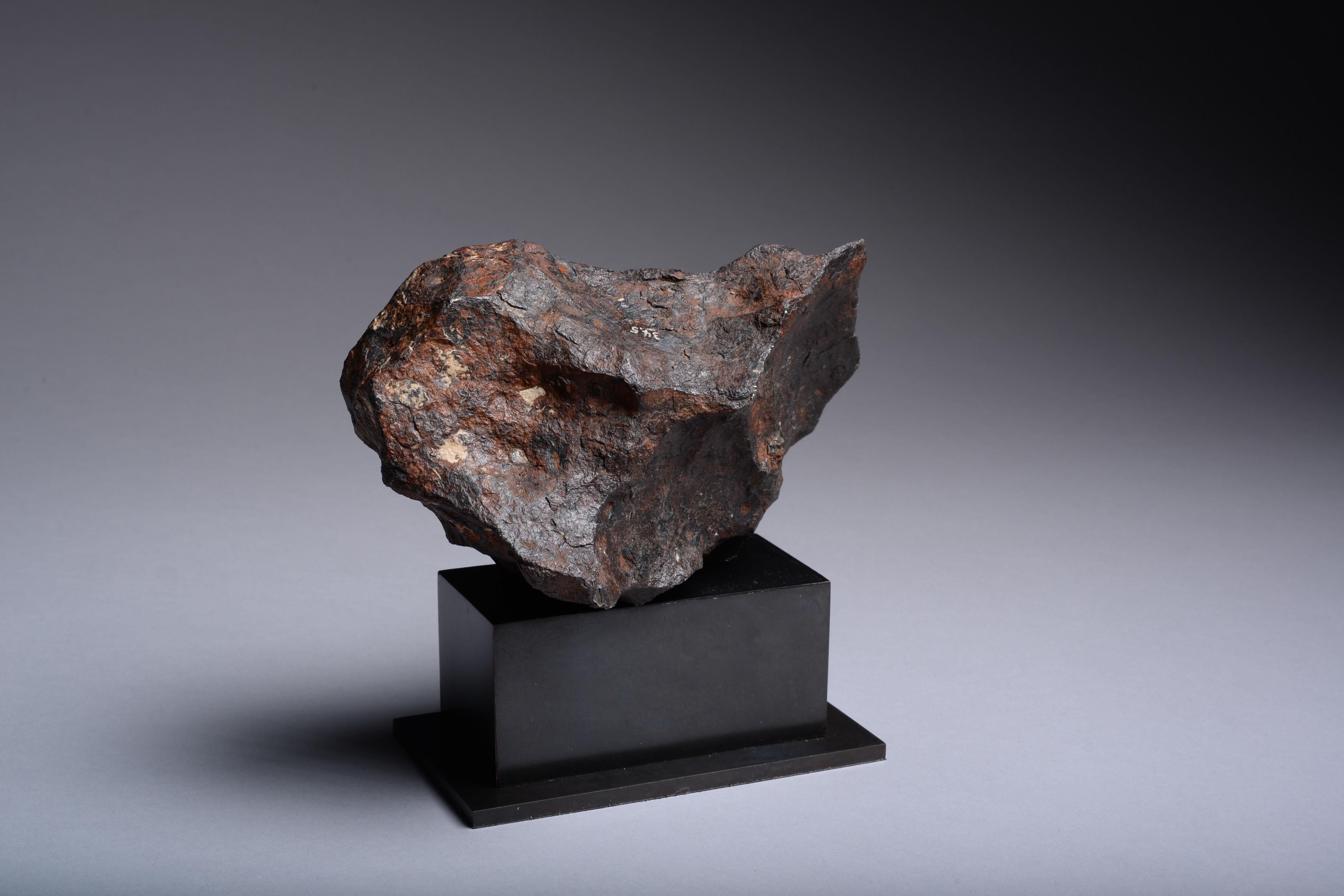 Canyon Diablo Meteorite from Arizona For Sale at 1stDibs
