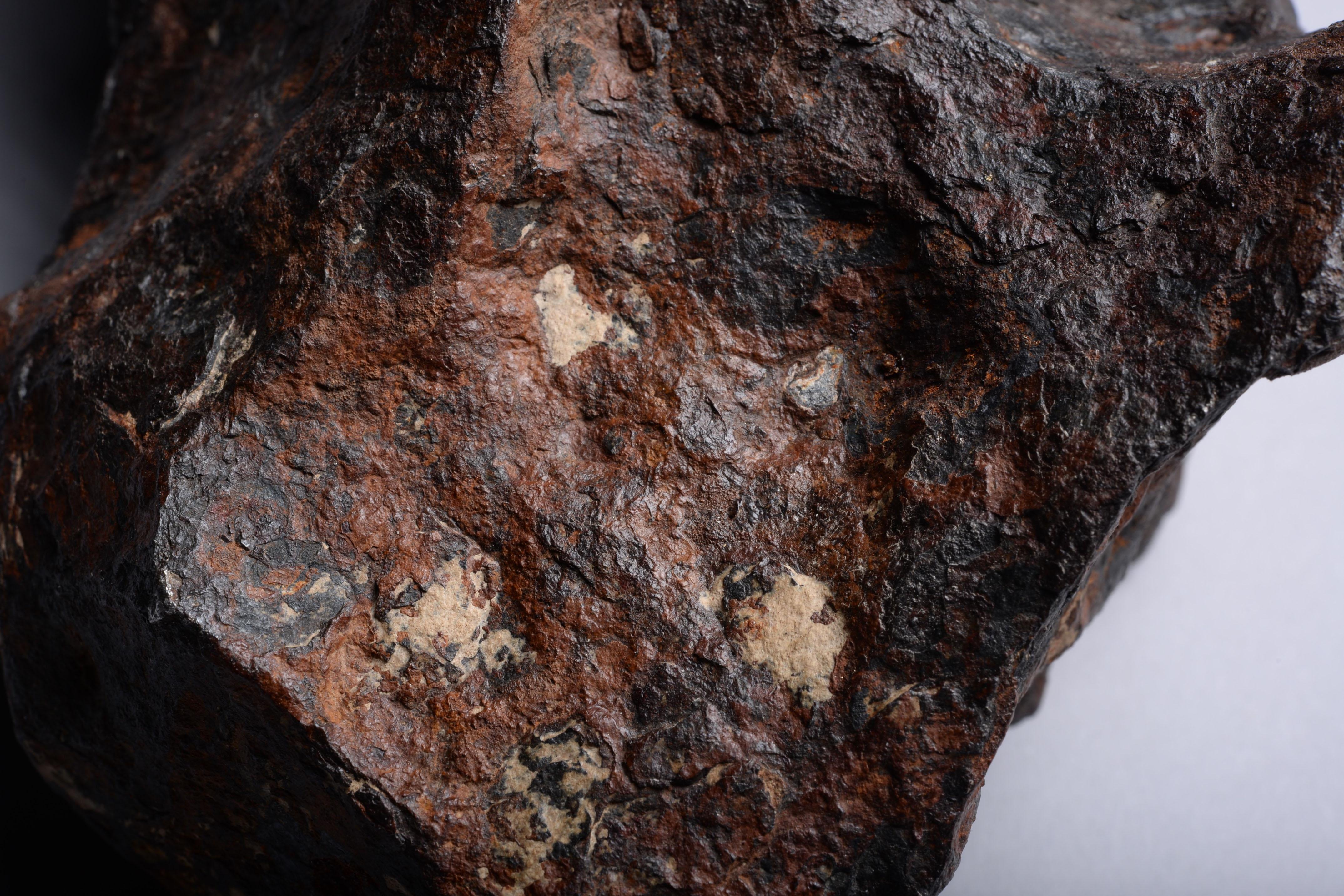 Canyon Diablo Meteorite from Arizona For Sale at 1stDibs