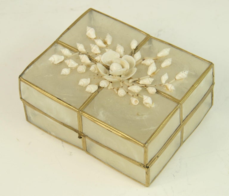 Capiz Shell Trinket Box with Shells For Sale at 1stDibs