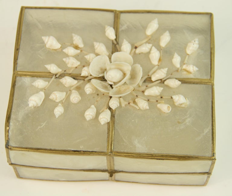Capiz Shell Trinket Box with Shells For Sale at 1stDibs