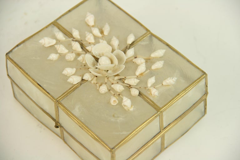 Capiz Shell Trinket Box with Shells For Sale at 1stDibs