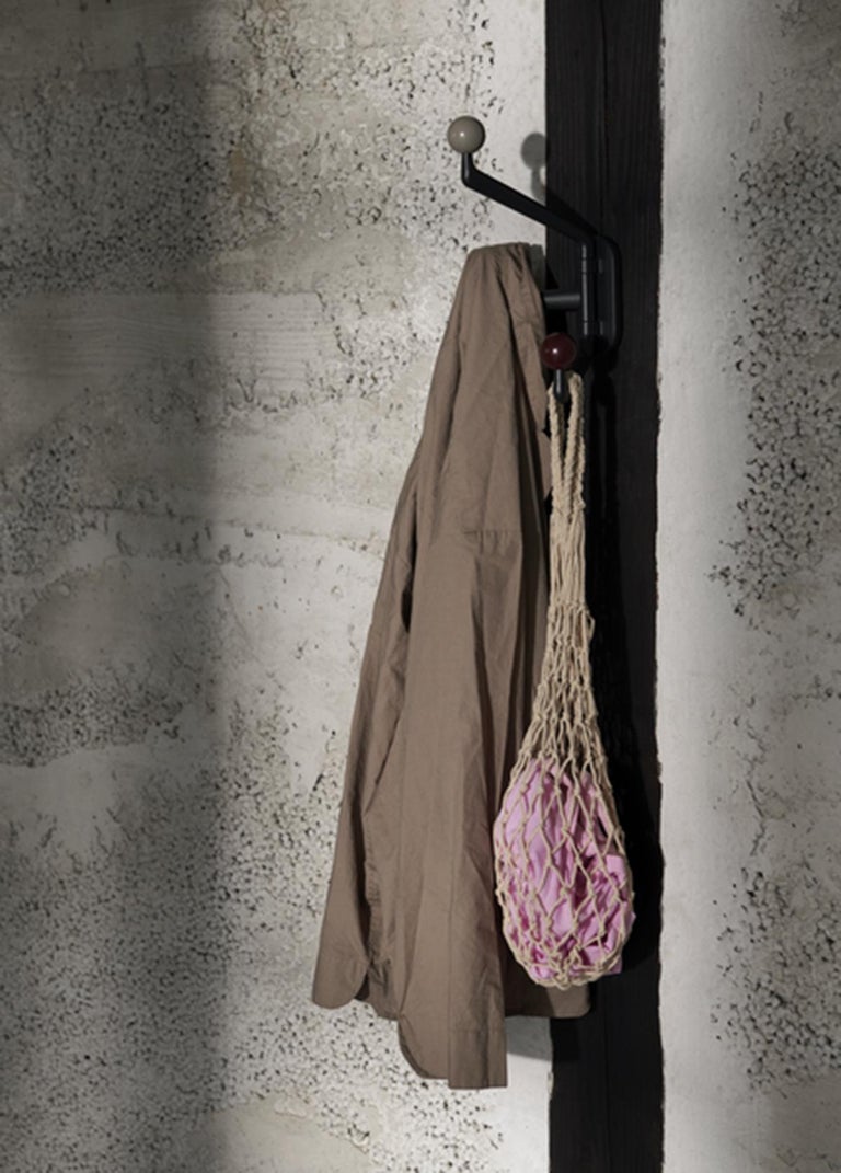 Capture SC75 Graphite and Colour knob Hooks by Space Copenhagen for ...