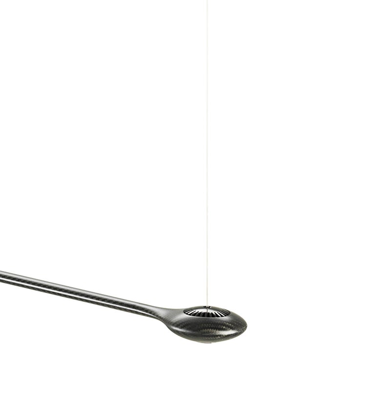 CARB-02 Carbon Ceiling Light by Tokio For Sale at 1stDibs