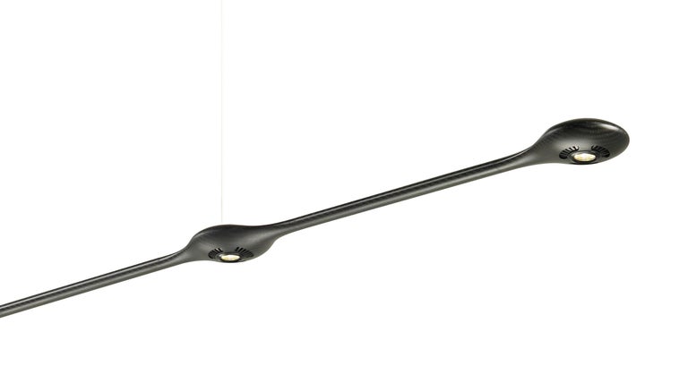 CARB-05 Carbon Ceiling Light by Tokio For Sale at 1stDibs