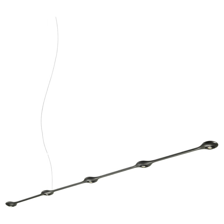 CARB-05 Carbon Ceiling Light by Tokio For Sale at 1stDibs