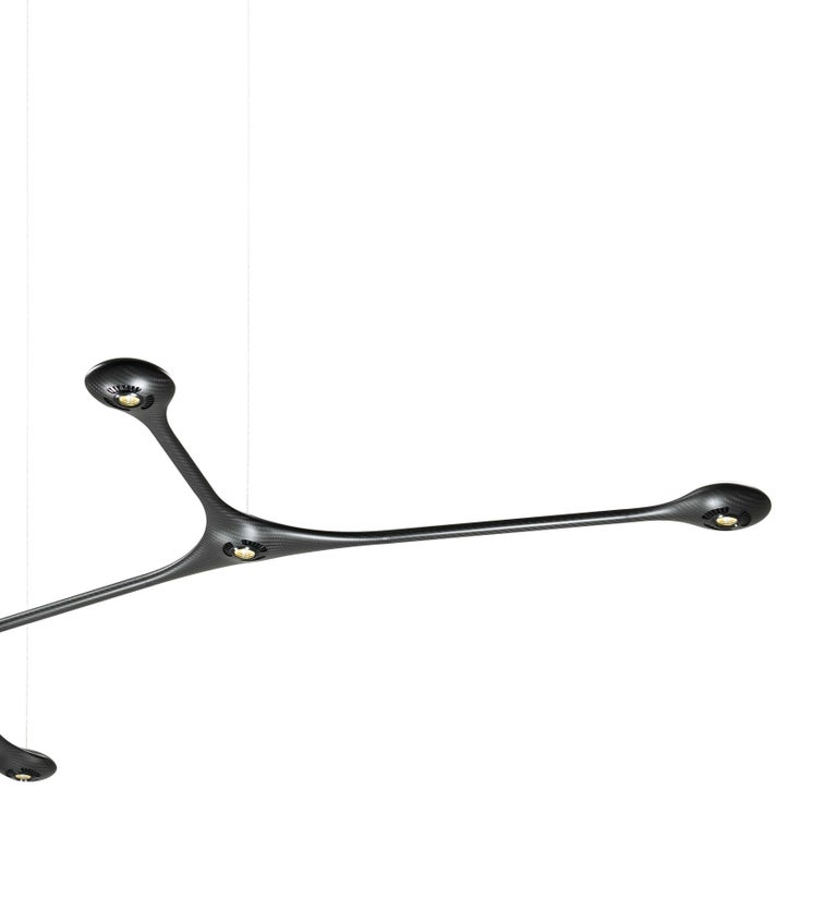 CARB-06 Carbon Ceiling Light by Tokio For Sale at 1stDibs