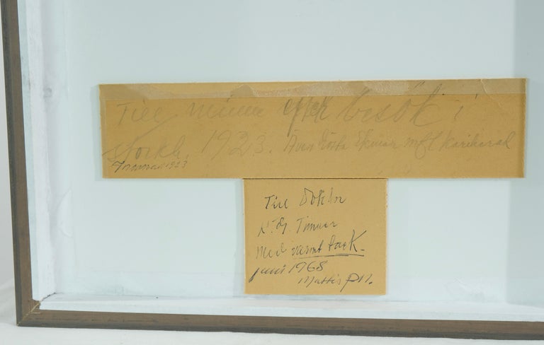 Caricature Drawing of August Strindberg, by Carl Magnus Lindquist For ...