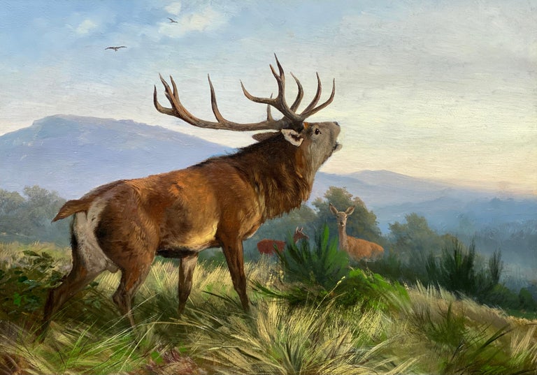 Carl Friedrich Deiker - Roaring Deer Stag, Carl Friedrich Deiker ...