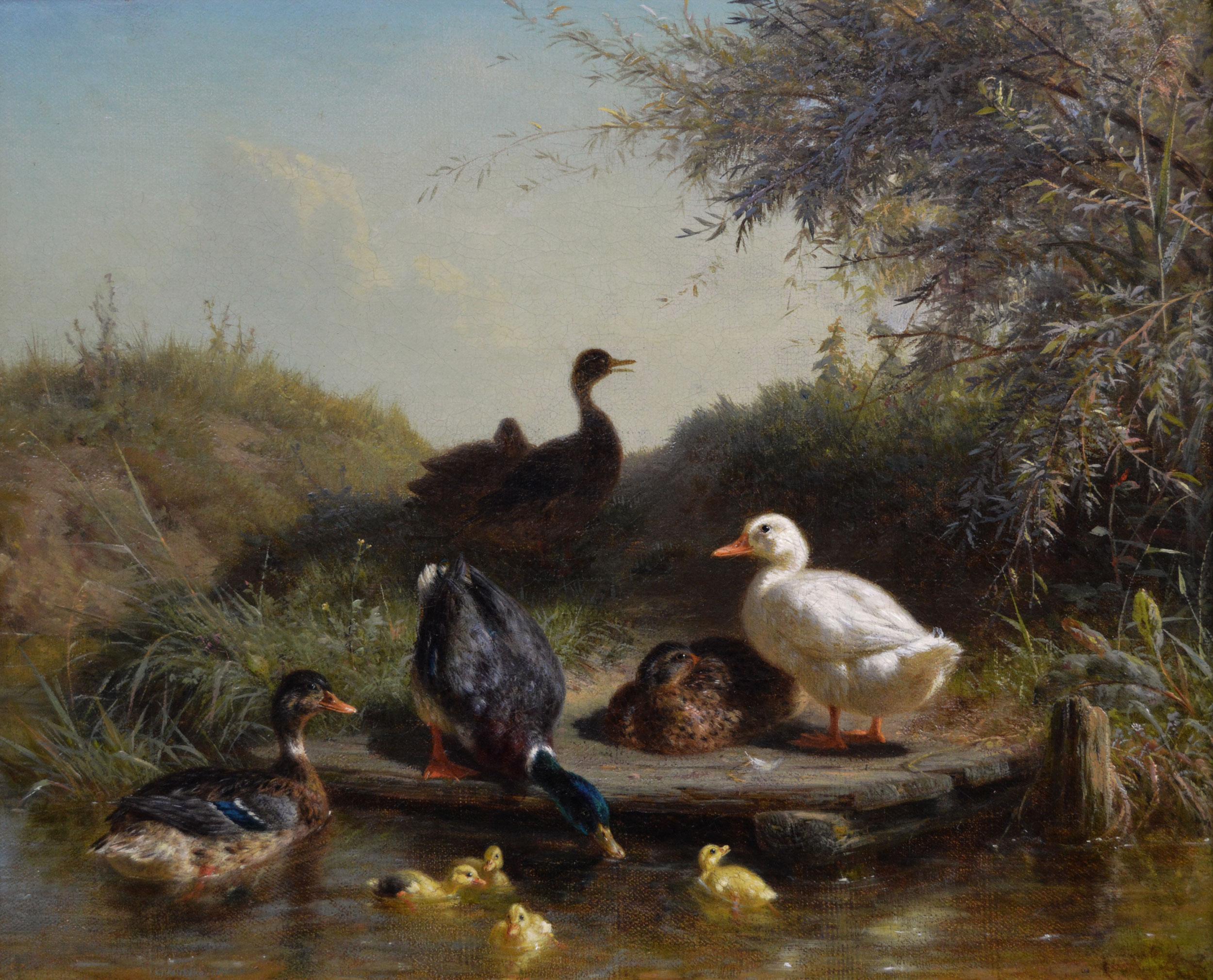 Carl Jutz The Elder - 19th Century pair of animal oil paintings of ...