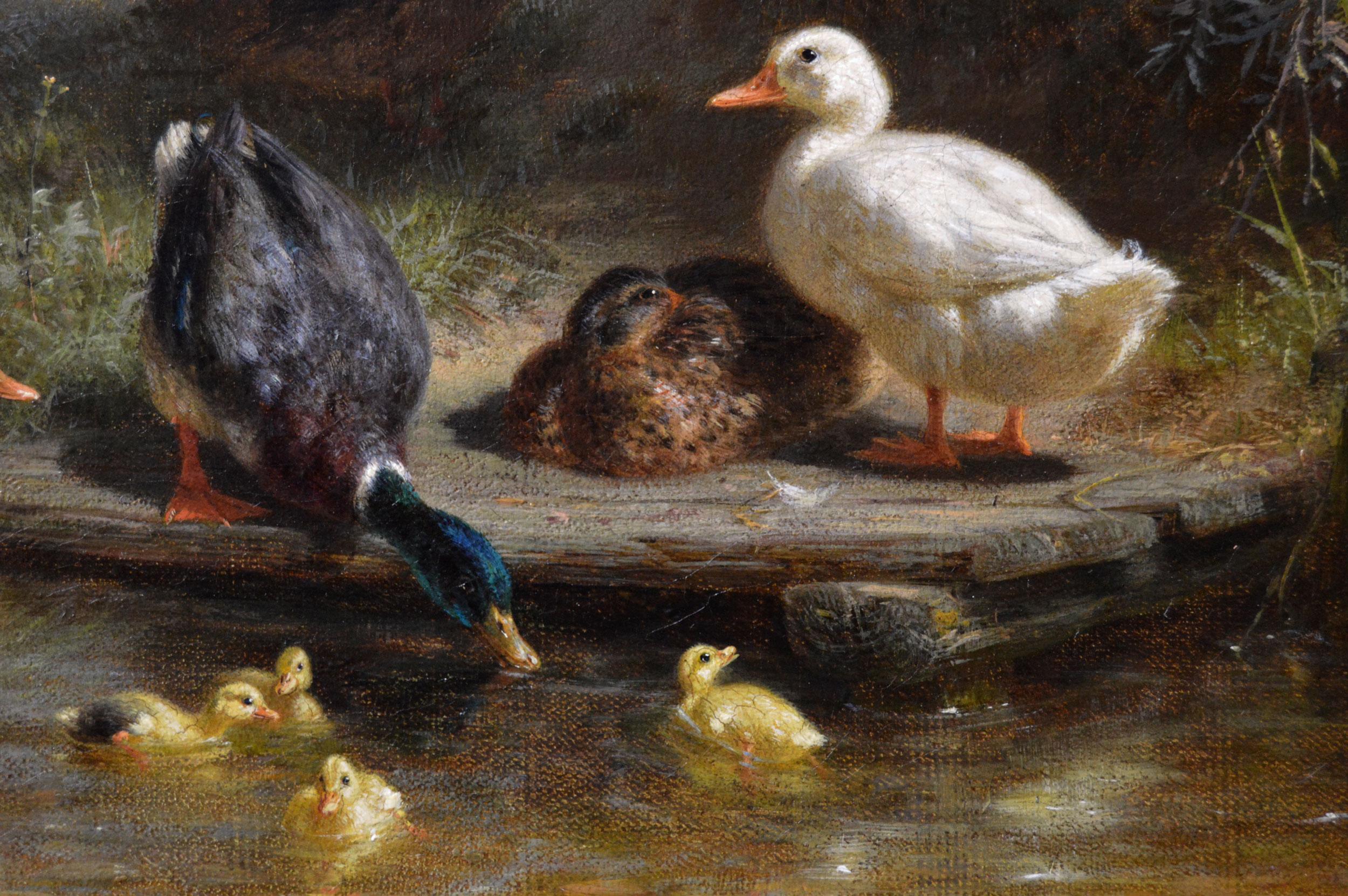 Carl Jutz The Elder - 19th Century pair of animal oil paintings of ...