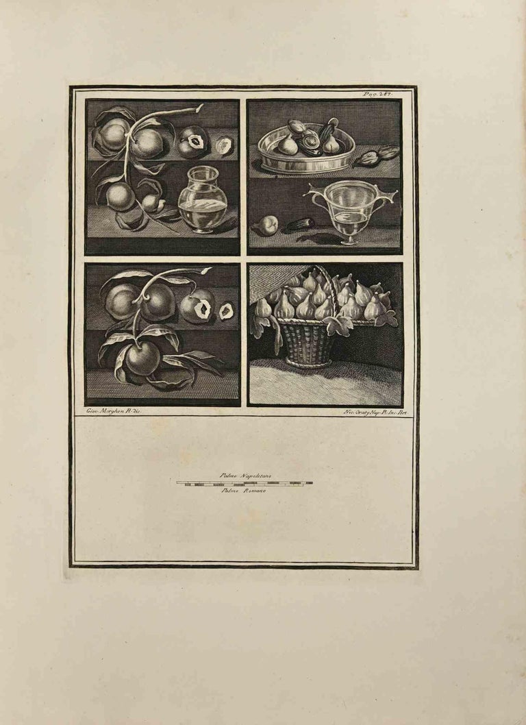 Carlo Oraty - Roman Style Still - Etching by Carlo Oraty - 18th Century ...