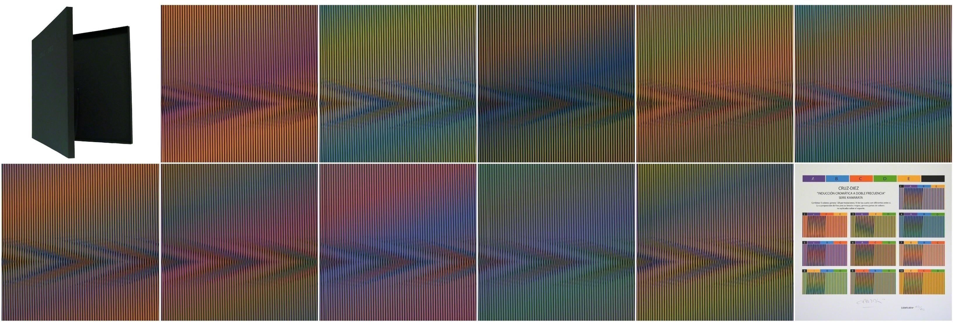 Carlos Cruz-Diez - Chromatic Induction Dual Frequency Permutation 9 at ...