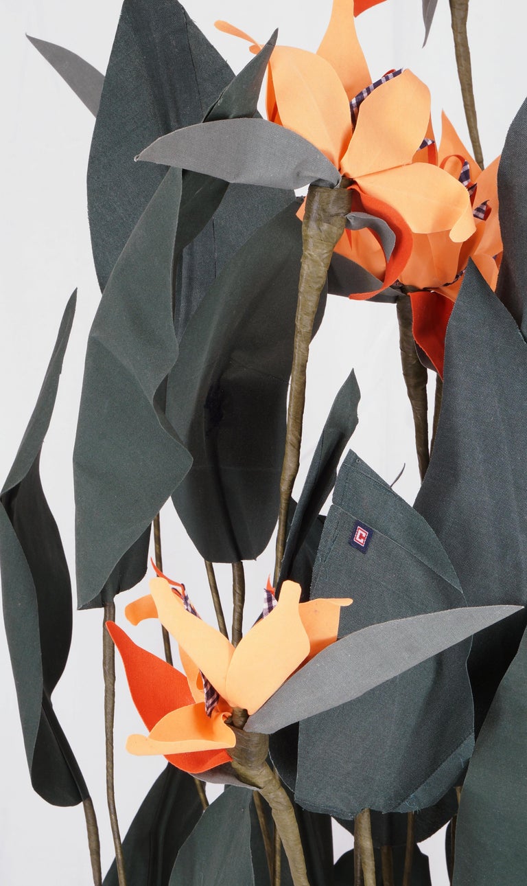 Carlton Scott Sturgill - Branded Bird of Paradise (RL Chaps) For Sale ...