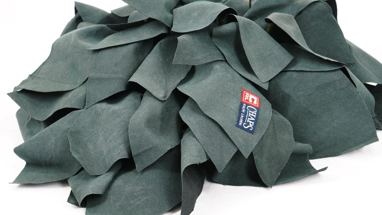 Carlton Scott Sturgill - Branded Hosta (RL Chaps) For Sale at 1stDibs