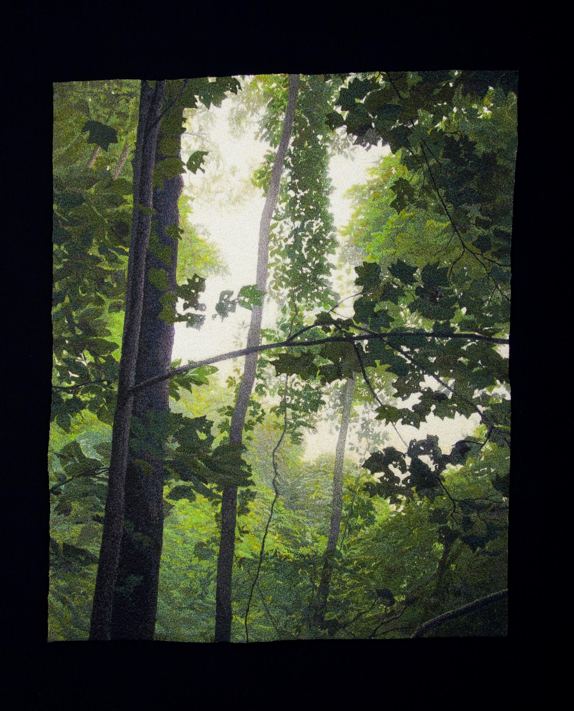 Carol Shinn - "Overhang", Contemporary, Embroidery, Photographic ...