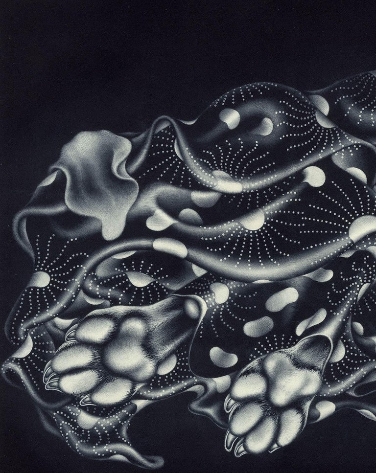 Carol Wax - See Spot (Abstract image of fabric hides the artist's dog ...