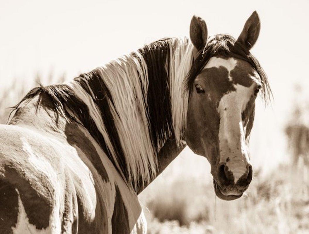 Picasso Ink - 15 For Sale on 1stDibs | picasso ink drawings, picasso ...