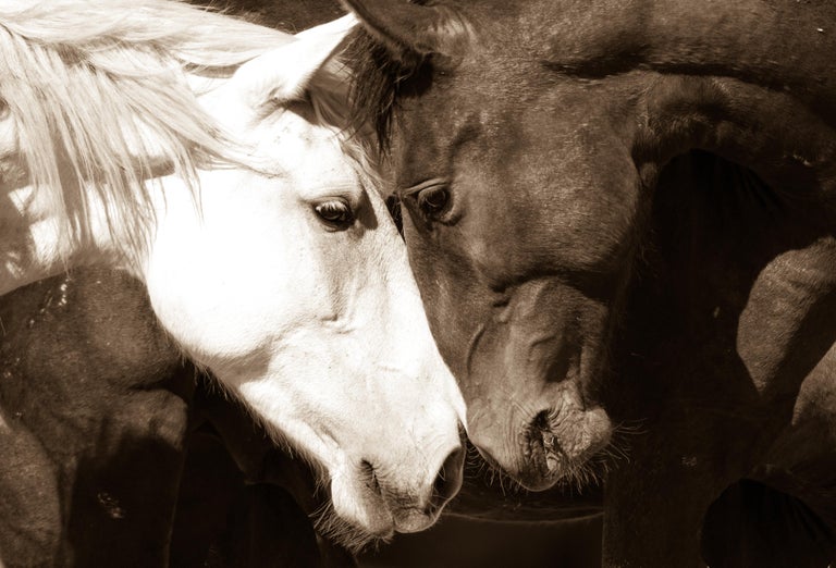 Caroline Christie - Yin And Yang (40" x 60") For Sale at 1stDibs