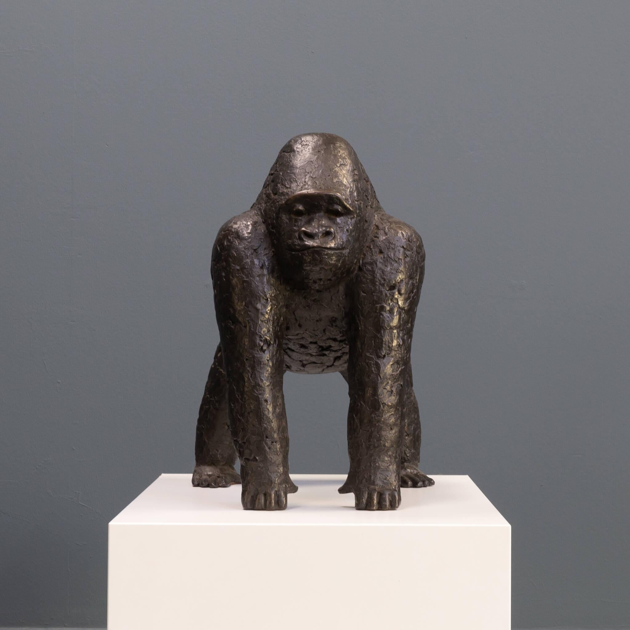 Caroline van Lange bronze artwork monkey ‘Bokita’ For Sale at 1stDibs