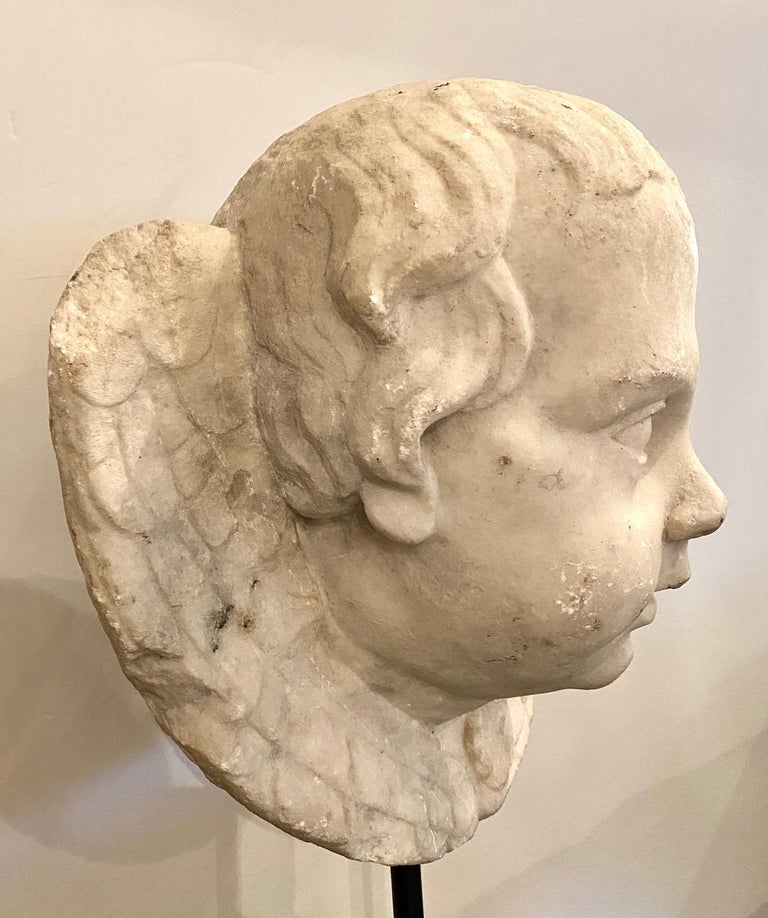 Carrara Marble Head of a Cherub For Sale at 1stDibs