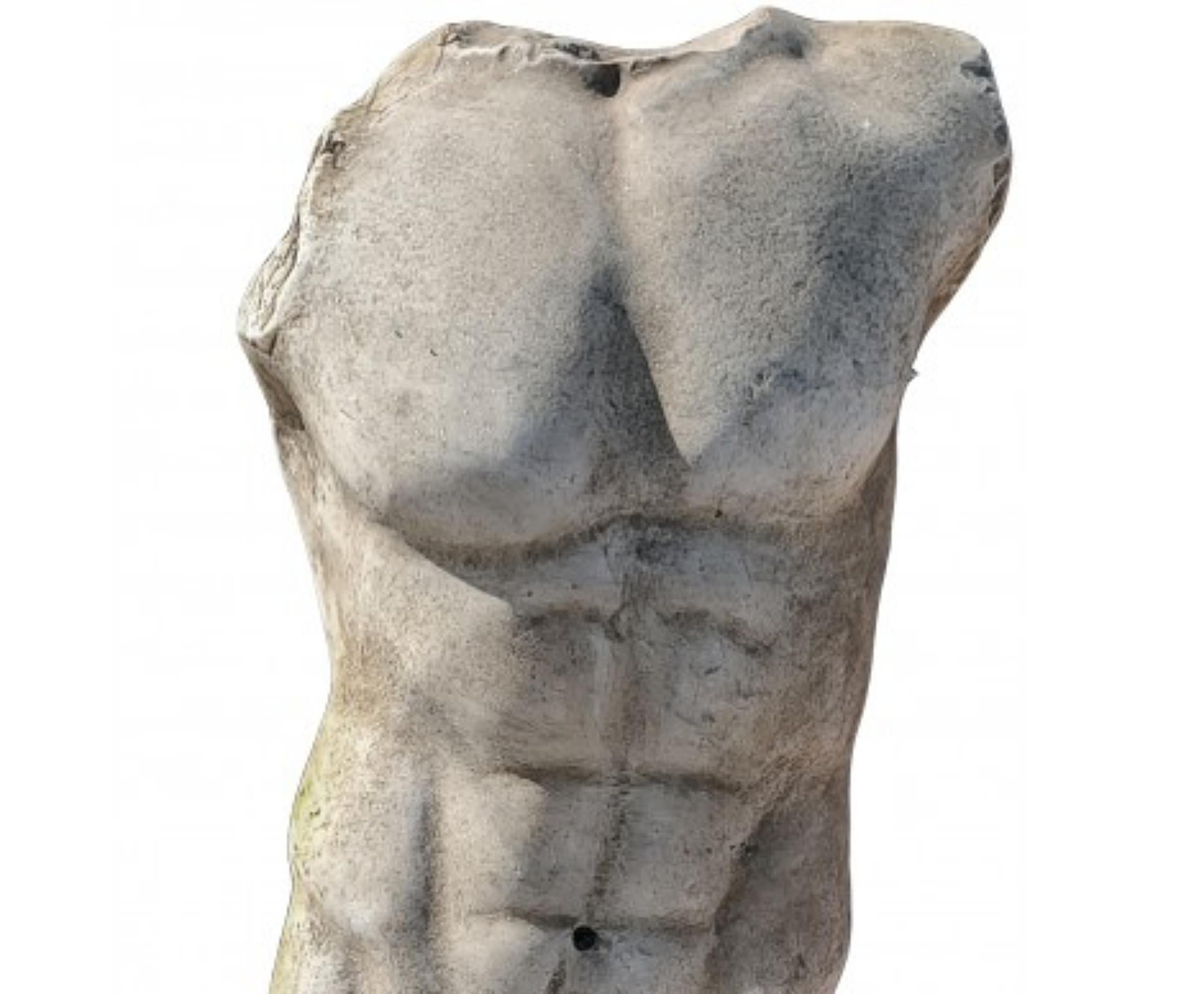 CARRARA MARBLE ROMAN TORSO 19th Century For Sale at 1stDibs