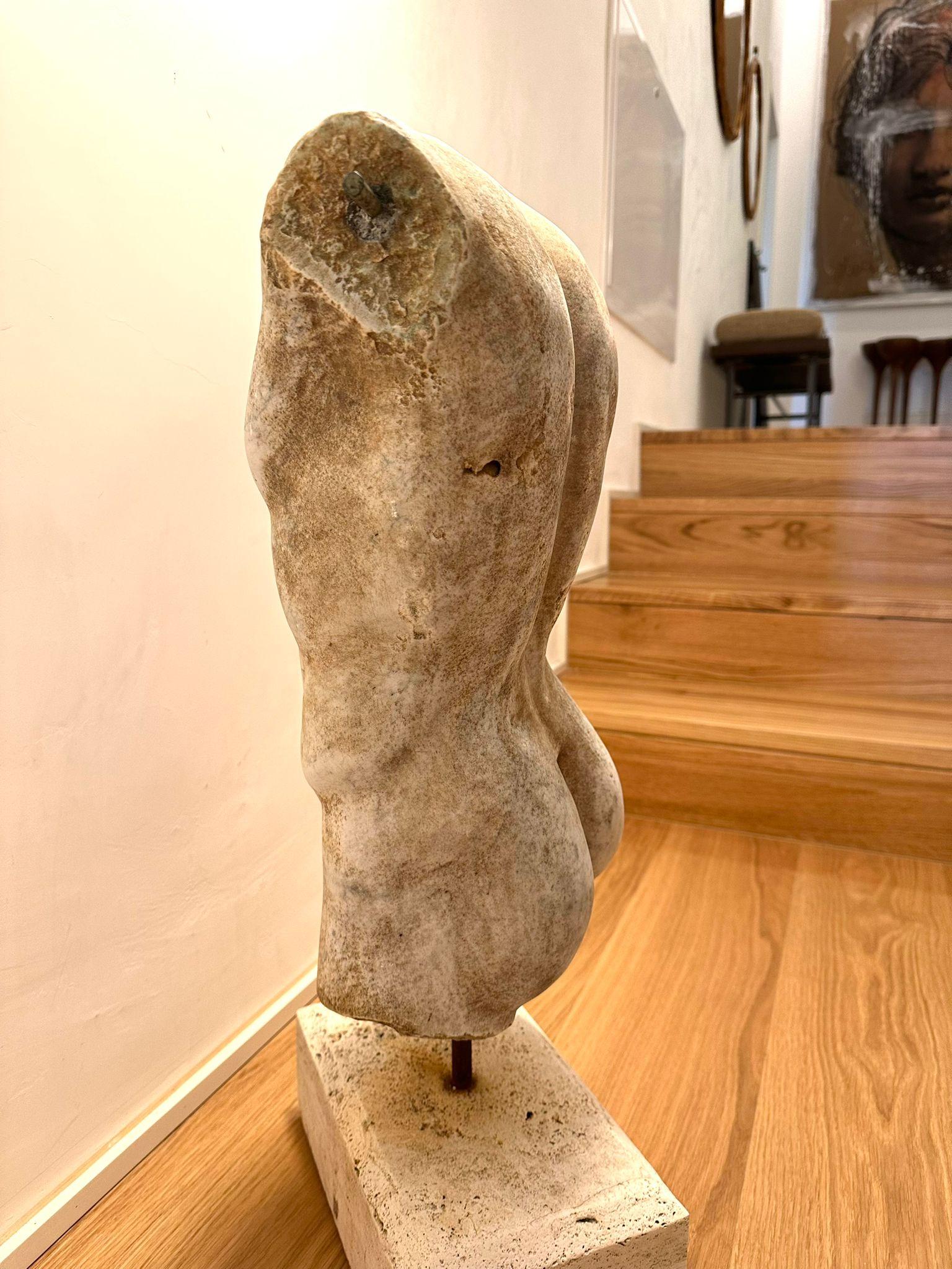 CARRARA MARBLE ROMAN TORSO 19th Century For Sale at 1stDibs